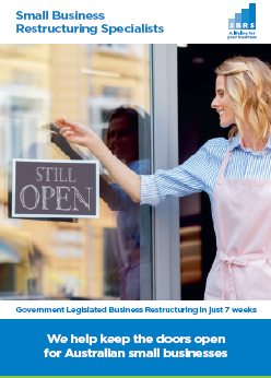 Expert Small Business Restructuring Specialist Practitioner